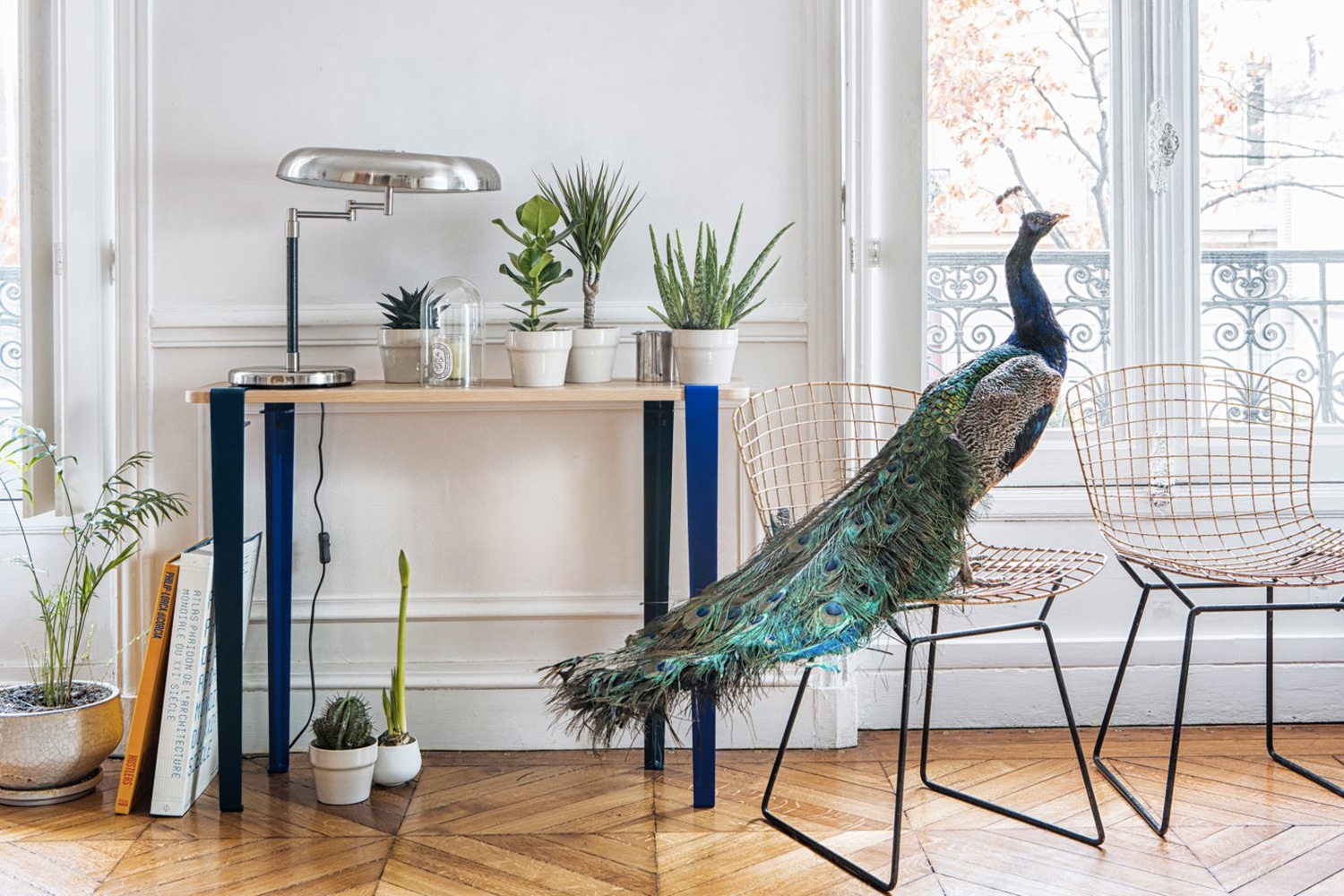 Le mobilier modulable arrondit les angles - Les Confettis